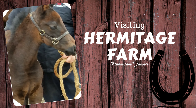 Visiting Hermitage Farm - Oldham Family Fun